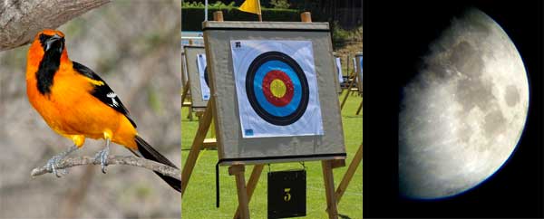 6 Different Ways to Use a Gosky Spotting Scope